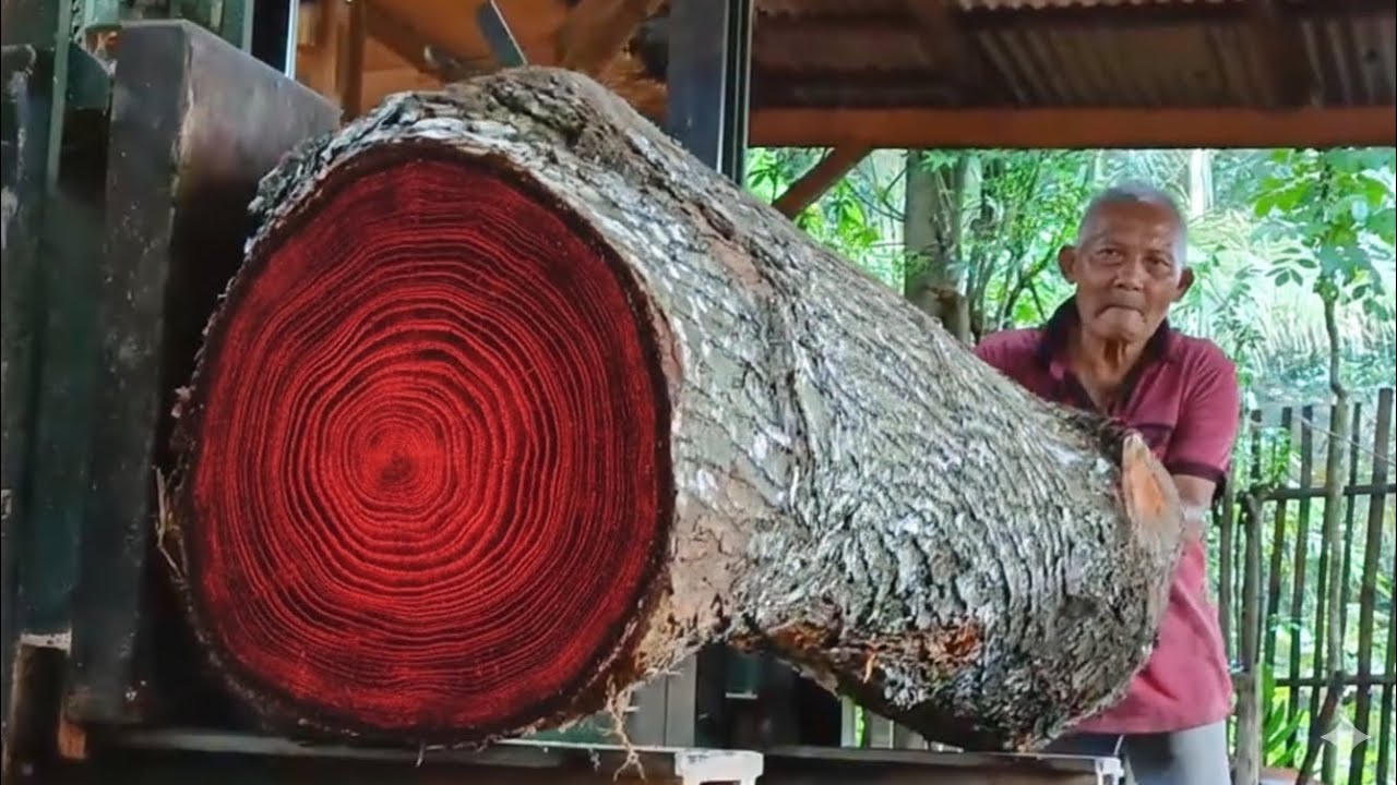 "Get to Know the Types of Mahogany Wood and Their Advantages" - YouTube