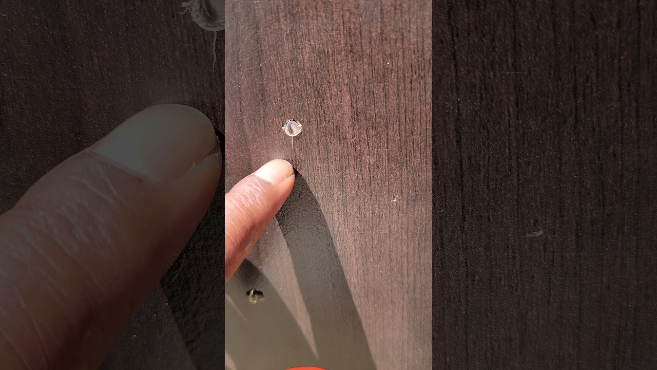 Gamo swarm. 22 vs. ruger impact max elite. 22 cal. penatration test ...