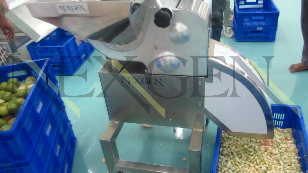 Vegetables & Fruits Dicing/ Cubing Machine | Food Processing Solutions ...