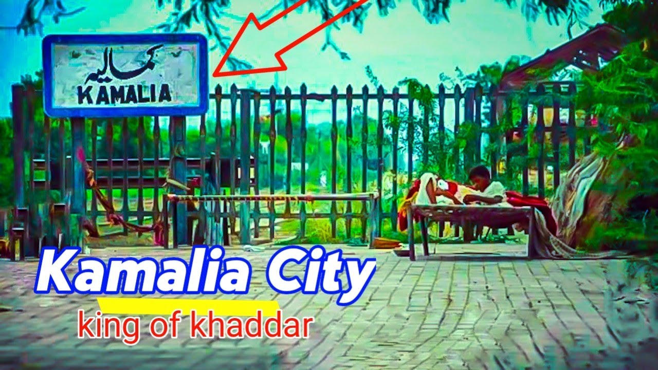 kamalia City,|Peer Mahal| Districts Toba Tek Singh ||Faheem Rana - YouTube