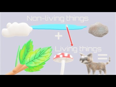 The Super Short Ecosystem Song - YouTube