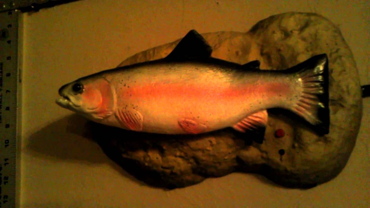 Travis The Singing Trout - YouTube