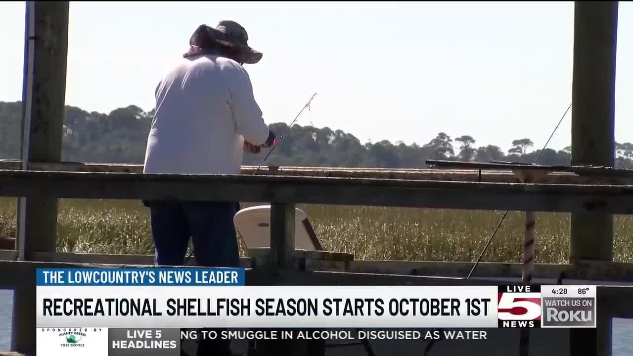 VIDEO: SC’s shellfish harvest season starts Oct. 1 - YouTube