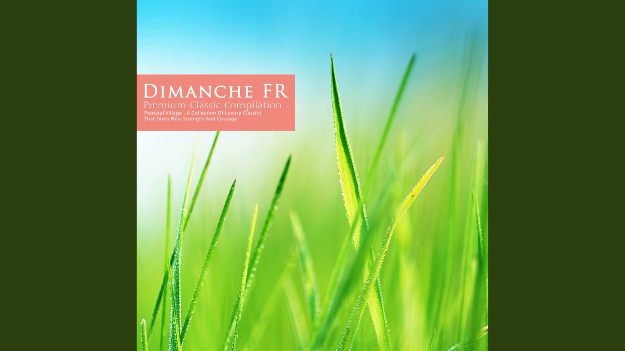 French Overture In B Minor, BWV.831 - III. Gavotte I - YouTube