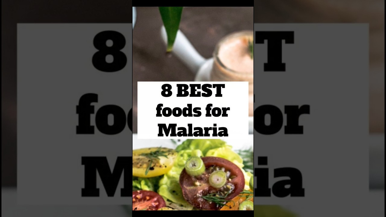 8 BEST FOODS FOR MALARIA PATIENT HEALTHY FOOD THE FIT FUN YouTube 8 BEST FOODS FOR MALARIA PATIENT HEALTHY FOOD THE FIT FUN YouTube