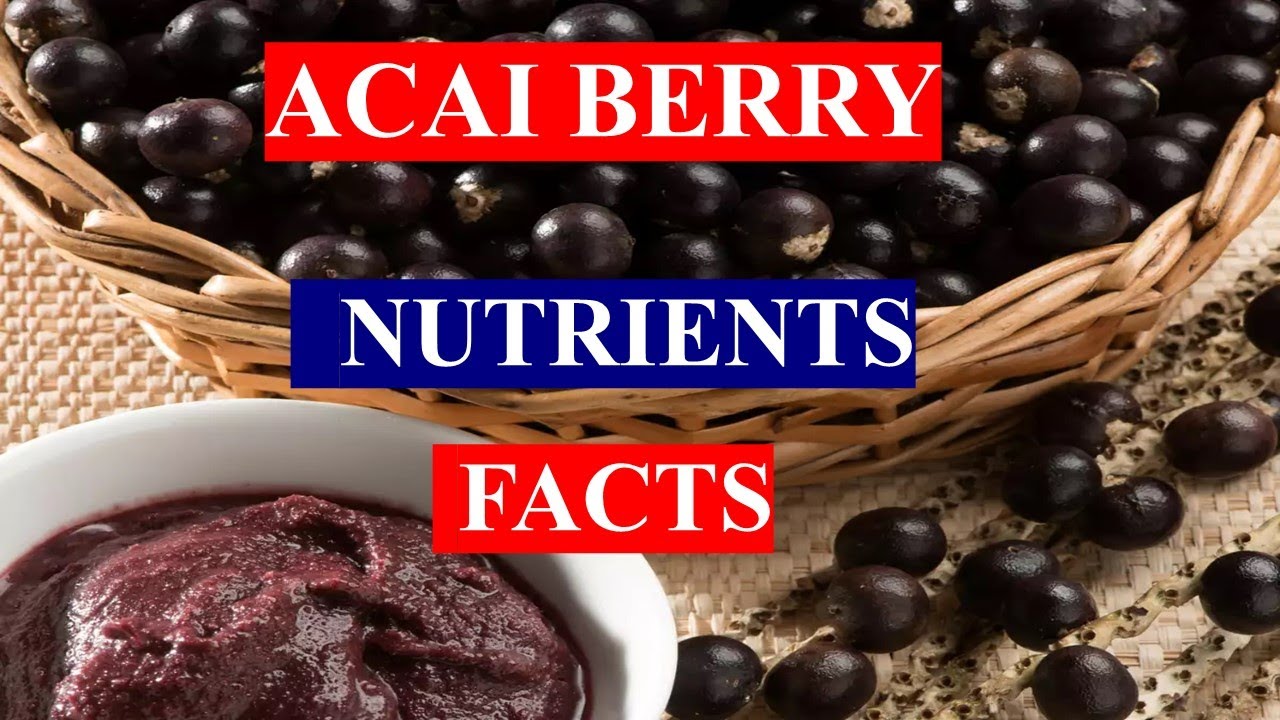 ACAI BERRY - Fruit - HEALTH BENEFITS AND NUTRIENTS FACTS - YouTube