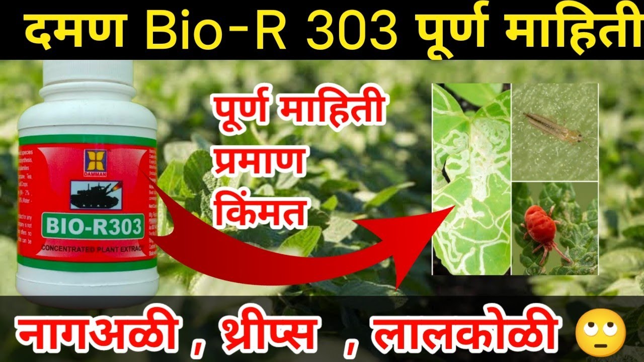 Damman Bio R 303 || दमन बाओ R 303 बद्दल पूर्ण माहिती || Damman bio R ...