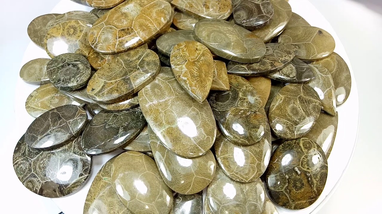 Morocco Fossil Coral Wholesale Lots - YouTube