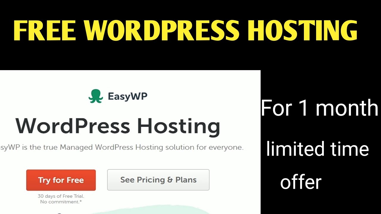 Free WordPress hosting for 1 month - YouTube