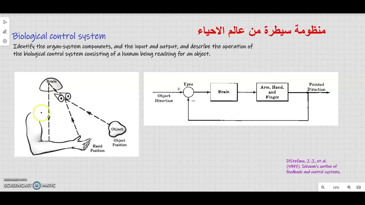 An Example of Biological Control System منظومة سيطرة من عالم الاحياء ...