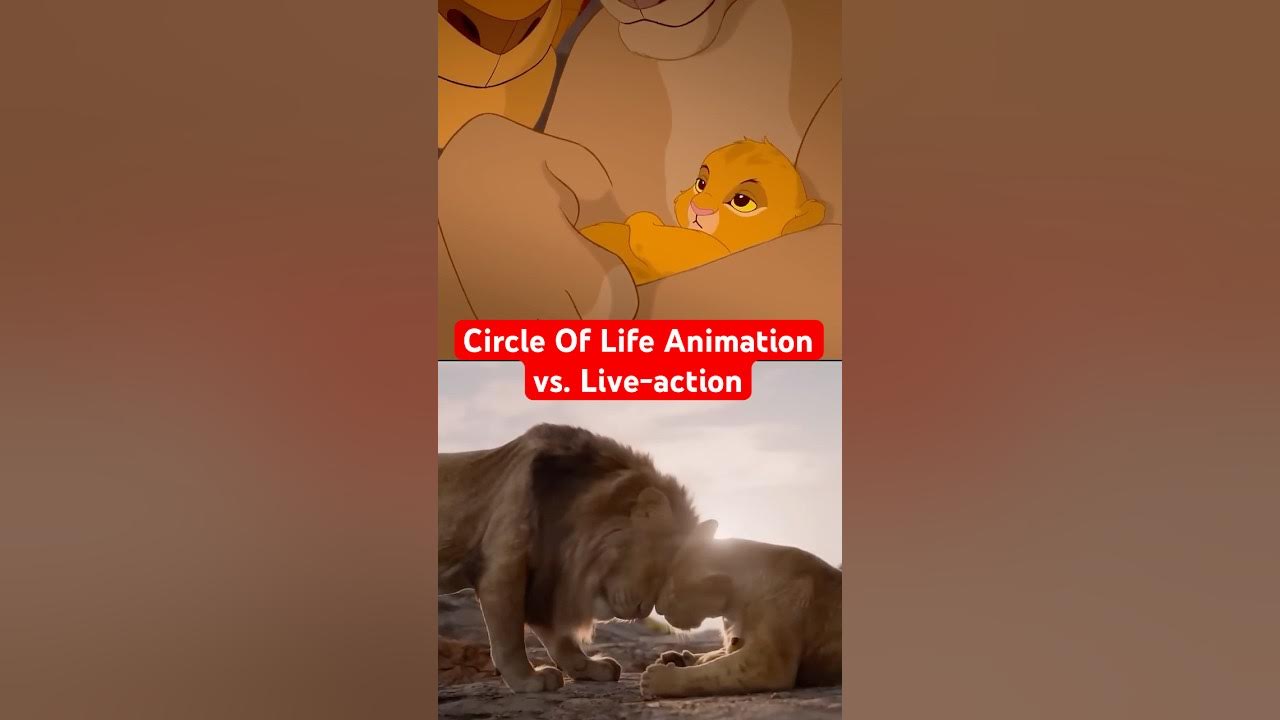 Circle Of Life Comparison - Animation vs. Live-action 🦁 - YouTube