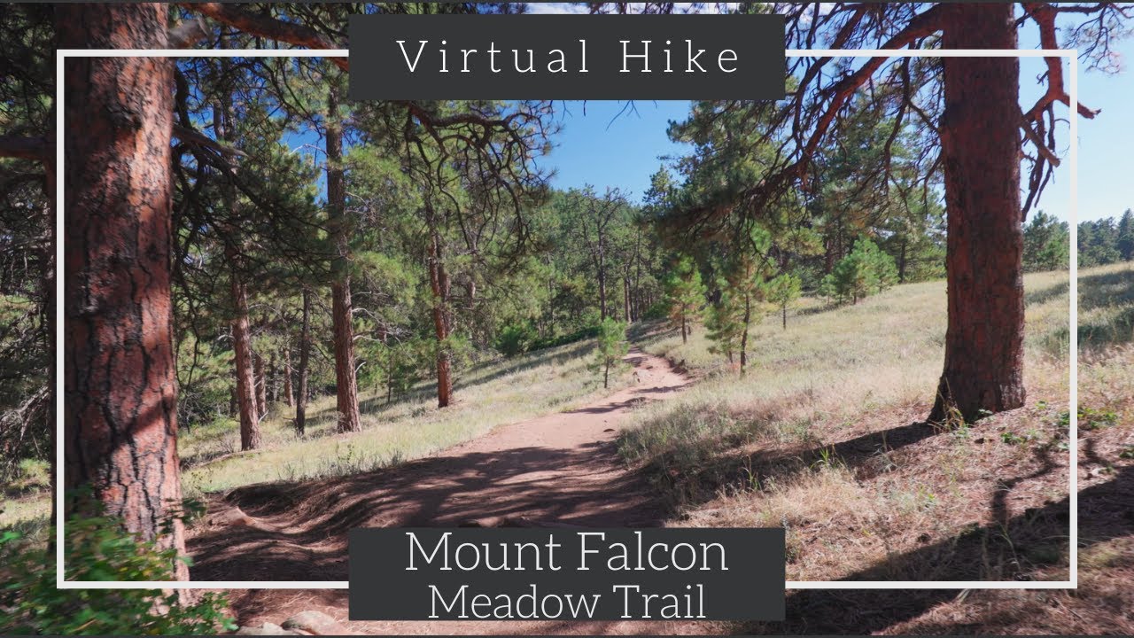 Mount Falcon Park | Meadow Trail | 4k Immersive Hikethrough - YouTube