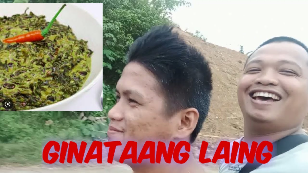 Laing Recipe | Ginataang Laing | Recipe | Mukbang | Aljon Channel Tv - YouTube
