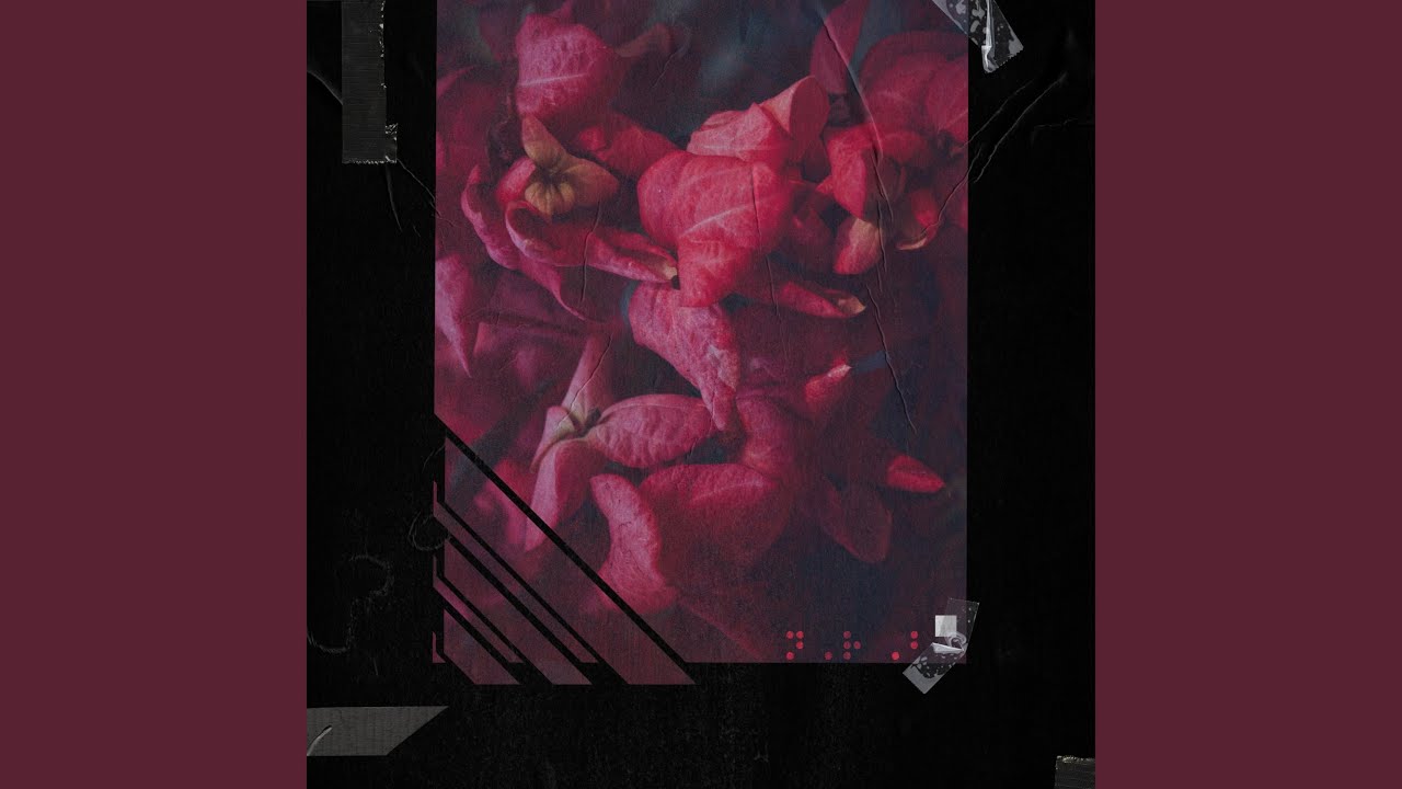 DWTD (feat. Bethany Davey) - YouTube