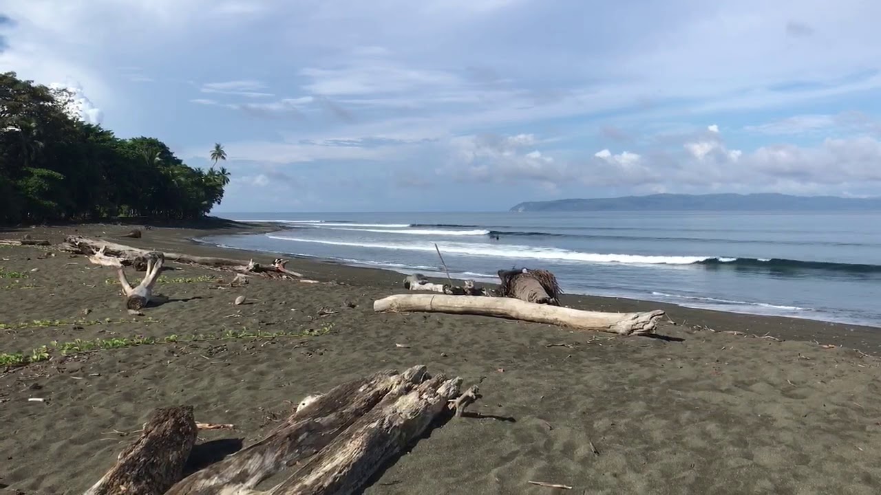 Pavones, Costa Rica Surf Report: January 20, 2020 - YouTube