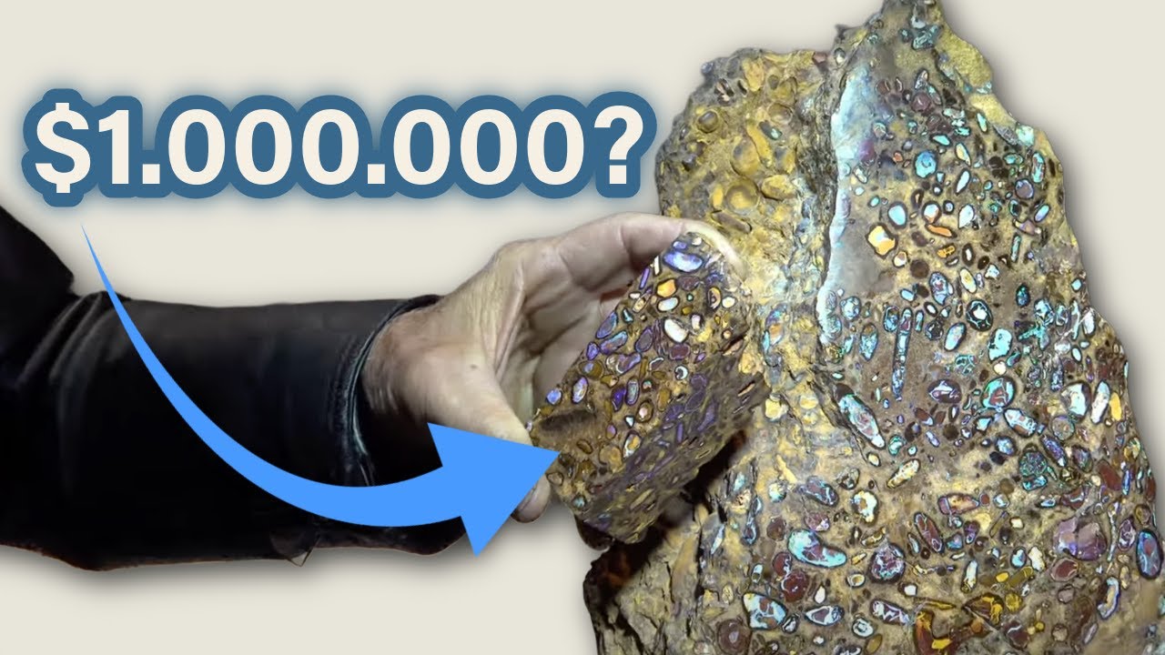 Possibly a Million dollar Aus Opal Specimen?! Gem Faire Costa Mesa CA ...