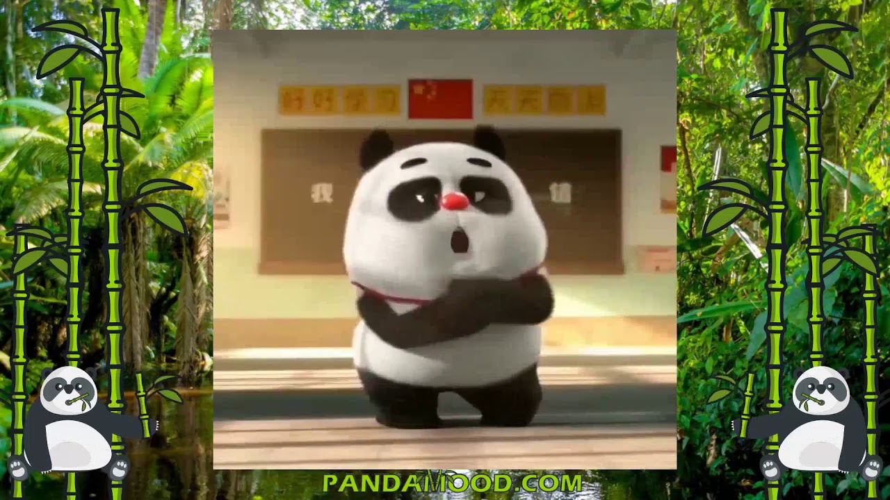 The Panda Zap #05 - YouTube