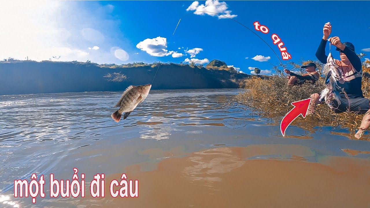DAO Vlog - Cùng Em Da Đen Câu Cá Dựt Liên Tục - Vieo Câu Cá Thỏa Mãn ...