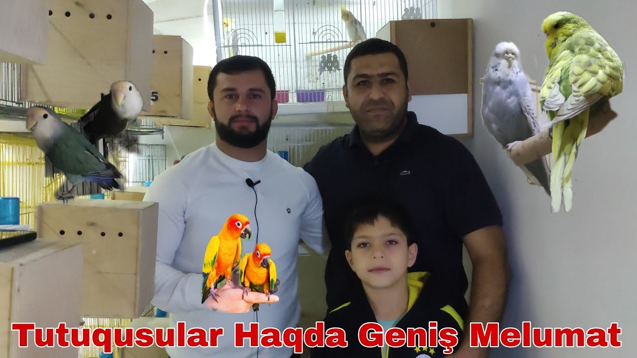 Tutuqusular Haqda Geniş Melumat. Mubariz Emin Tv Qonagi Olduq. # ...