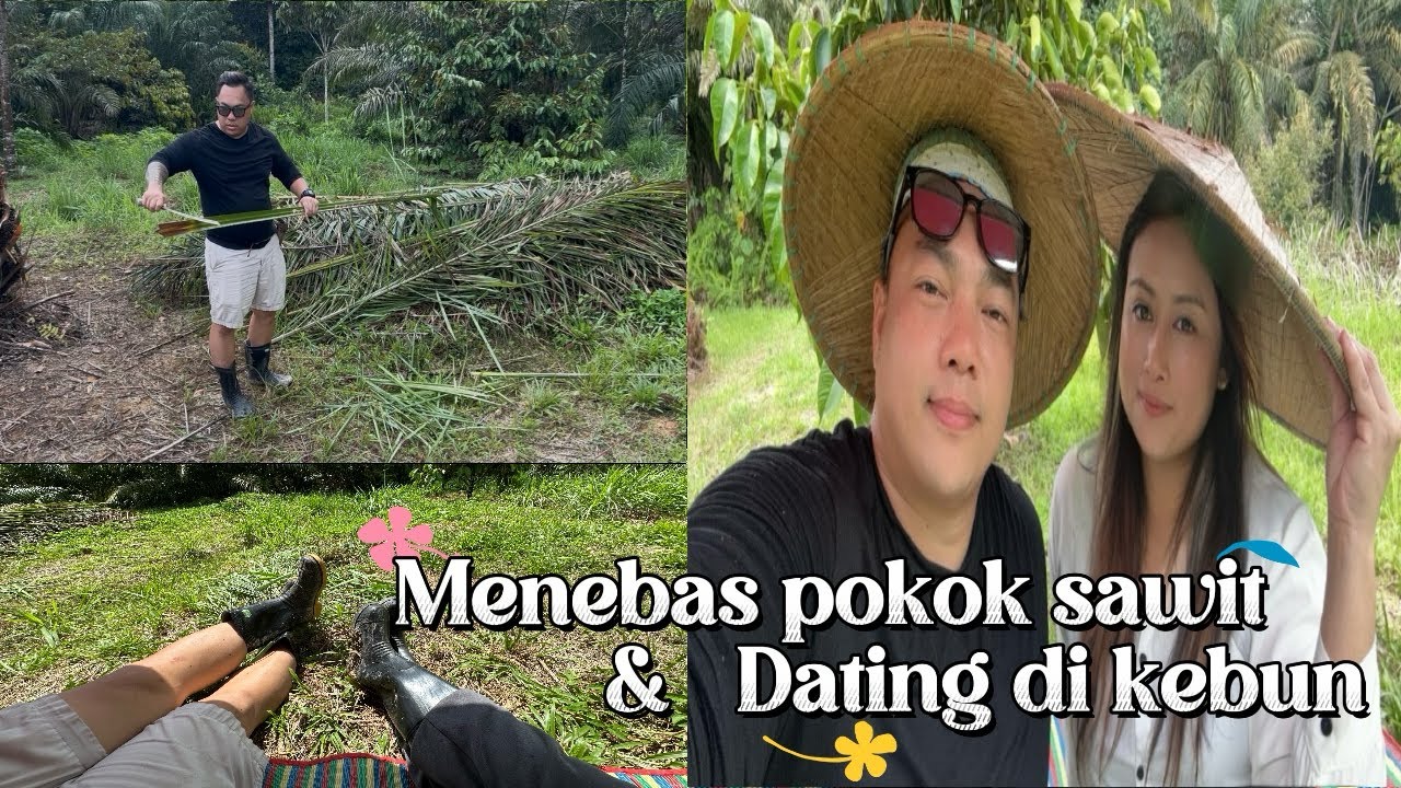 Jom kita menebas pokok sawit dan sambil kita dating dia kebun 😅😆 - YouTube