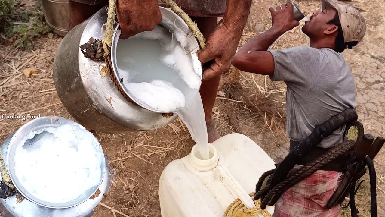 Toddy Neera Wine Videos Palm wine Taadi Kallu Thaati Kallu (తాటి కల్లు ...