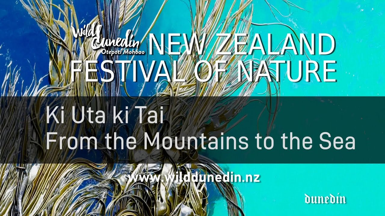 Ki Uta ki Tai From Mountains to the Sea - YouTube