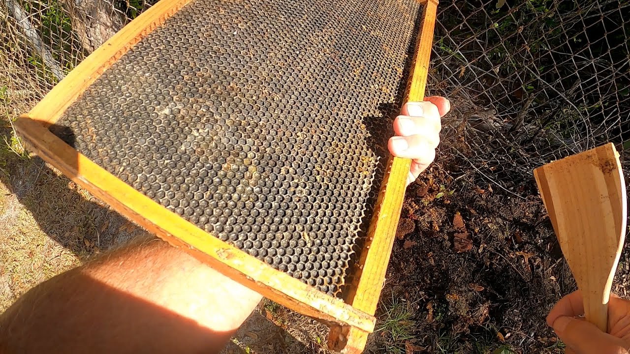 Cleaning Brood Frames - YouTube