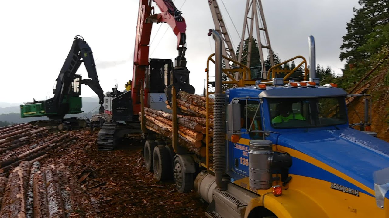 LOADING SHORT LOGGER.. Logging Coast Range Oregon, 2025 - YouTube