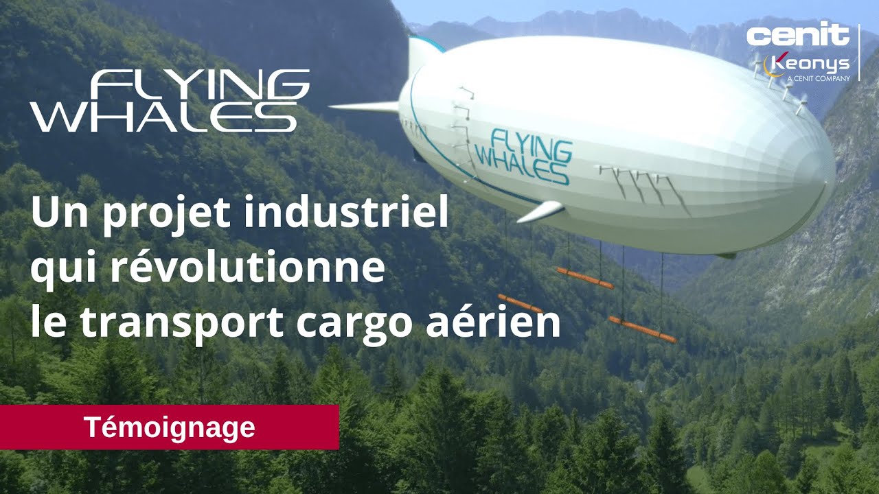 FLYING WHALES - Un projet industriel qui révolutionne le transport cargo aérien - YouTube