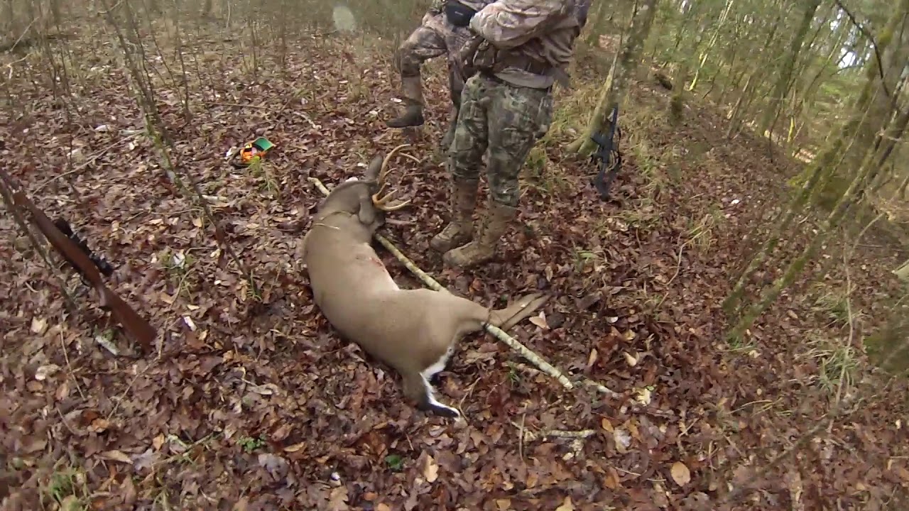 Deer and Pig Hunting on Fort Rucker Alabama. - YouTube