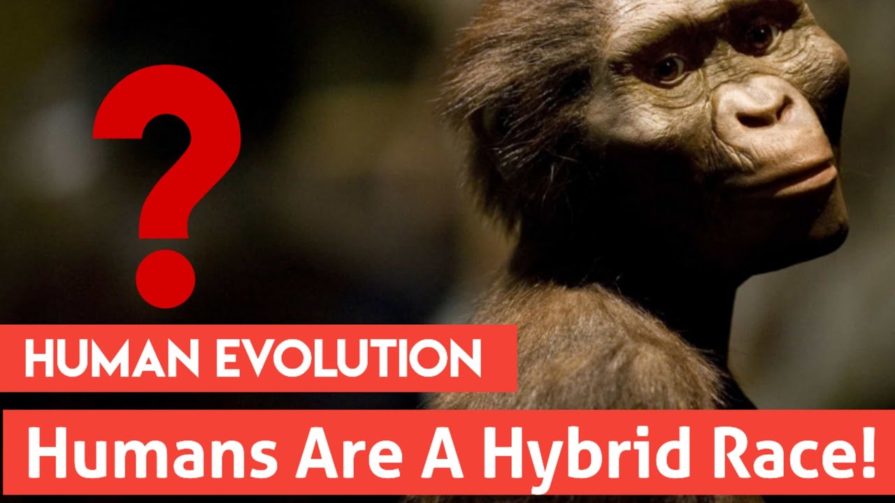 Humans Are A Hybrid Race | Neanderthals | Homo sapiens - YouTube