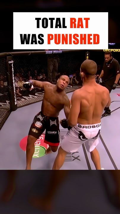 Sneaky Rat Got Karma! - YouTube