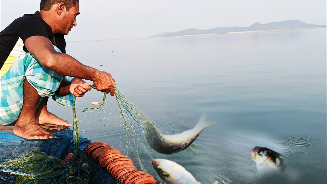 Brahmaputra river fishing hilsa fish. ব্রহ্মপুত্র নদীতে ইলিশ মাছ ধরার ...