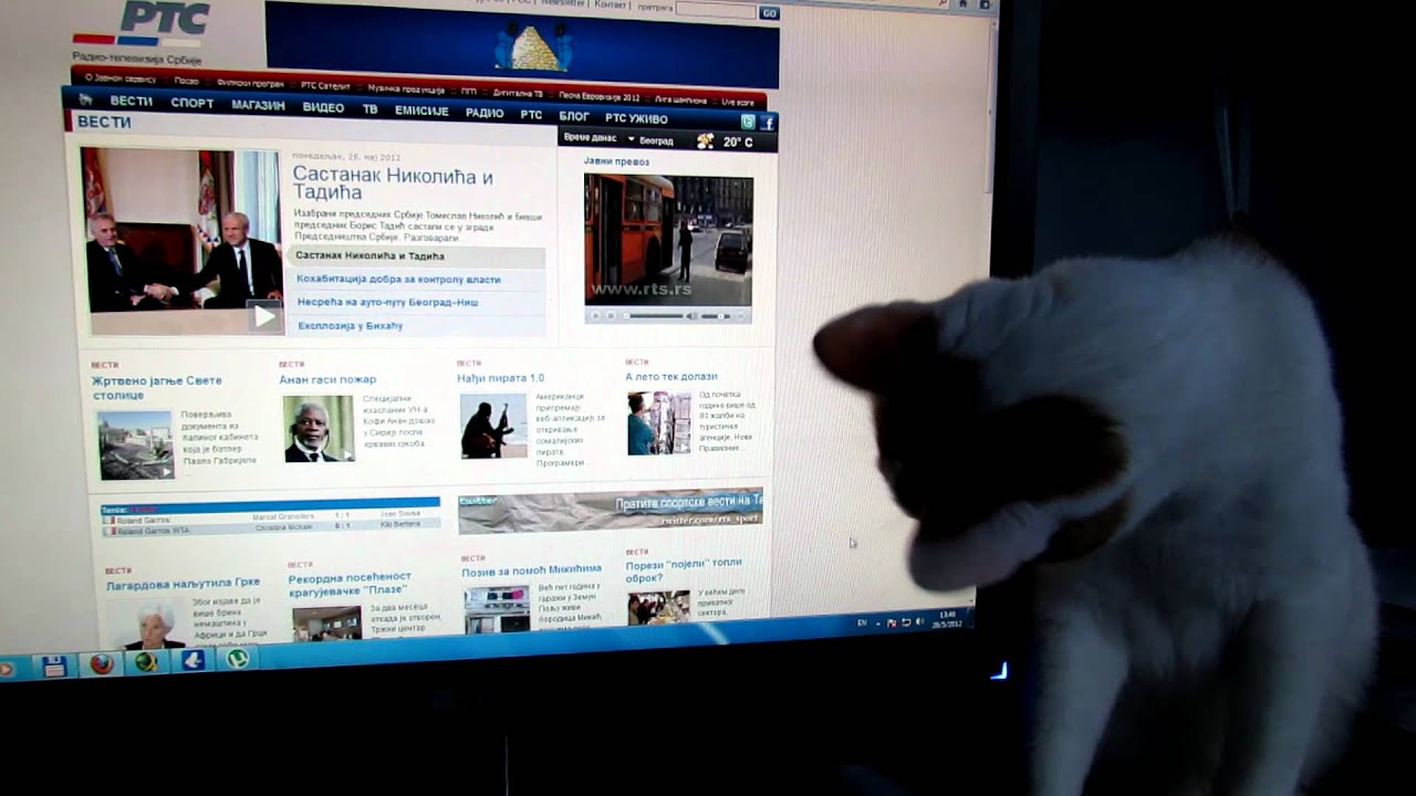 Maca i RTS.mp4 - YouTube