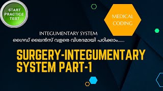 INTEGUMENTARY SYSTEM GUIDELINES AND PRACTICE QUESTIONS ... | Doovi