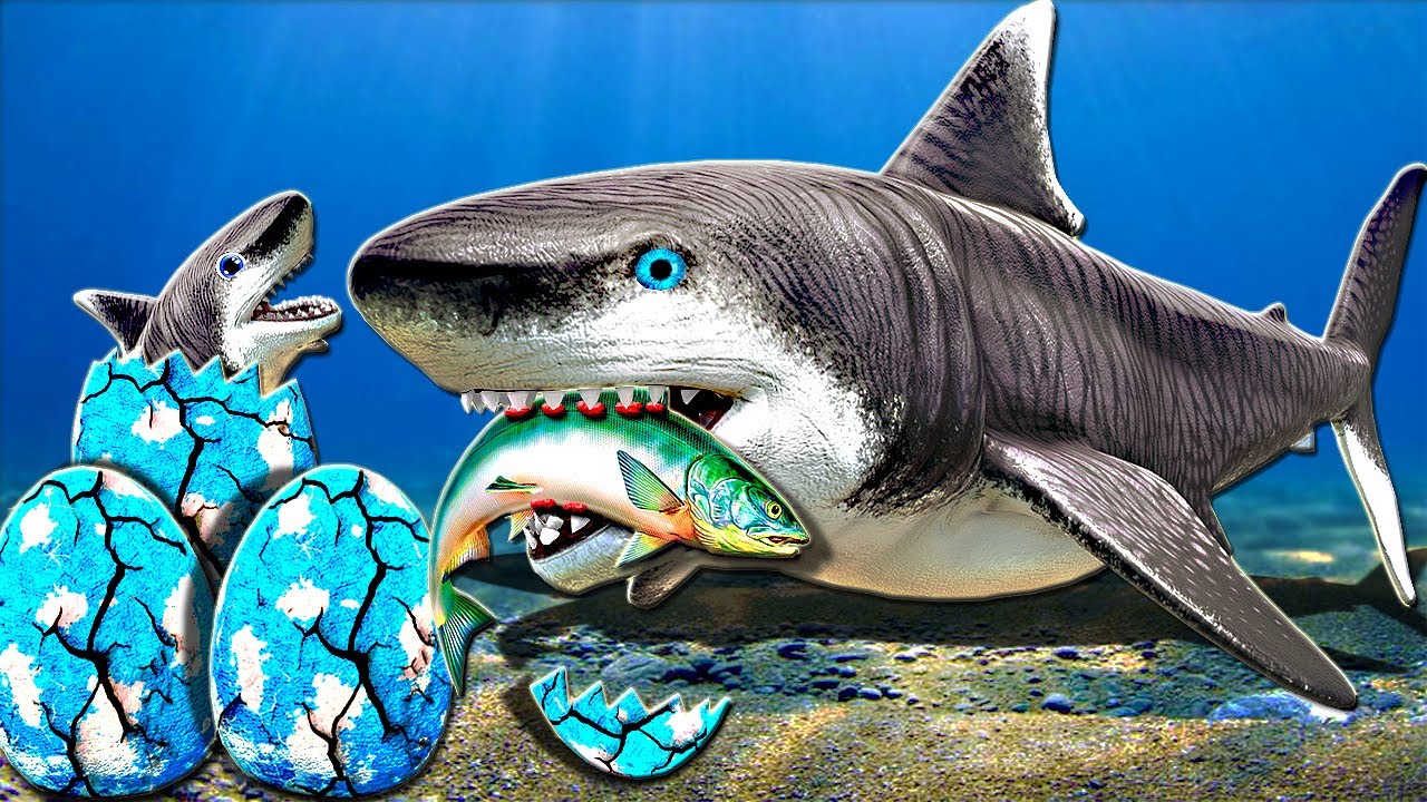 MEU FILHOTE NASCEU! FAMÍLIA MEGALODON! ARK FILMES EVOLVED - YouTube