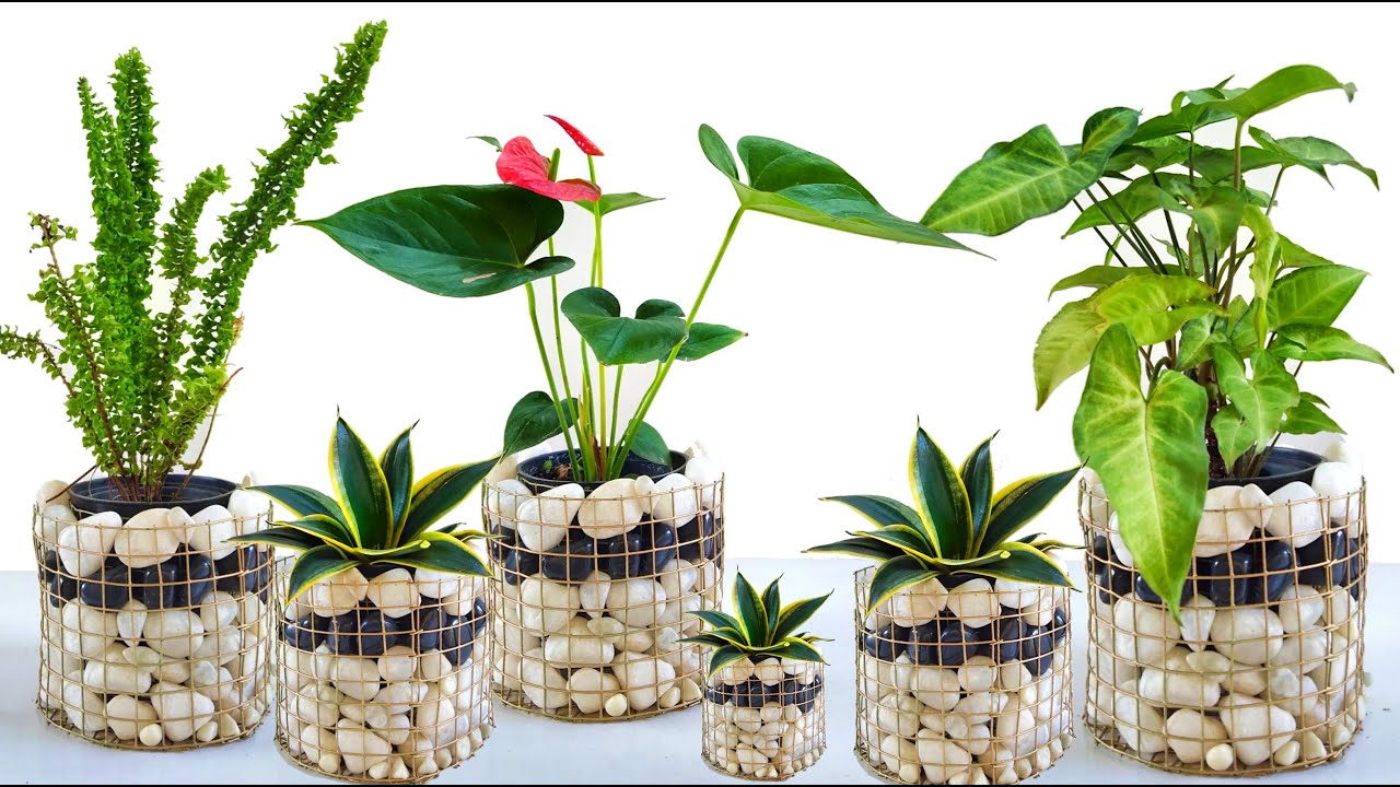 Mini Gabion Garden Ideas / Indoor Garden Ideas / Decoration Ideas - YouTube