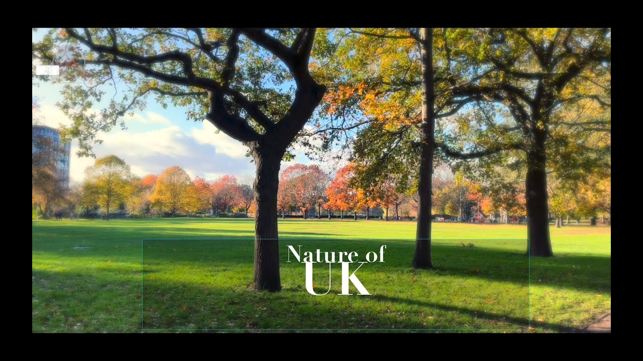 Nature of London City - YouTube