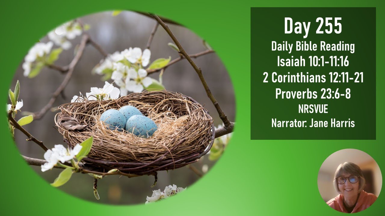 Together - with Pastor Jane: Daily Bible Reading - Day 255 - YouTube