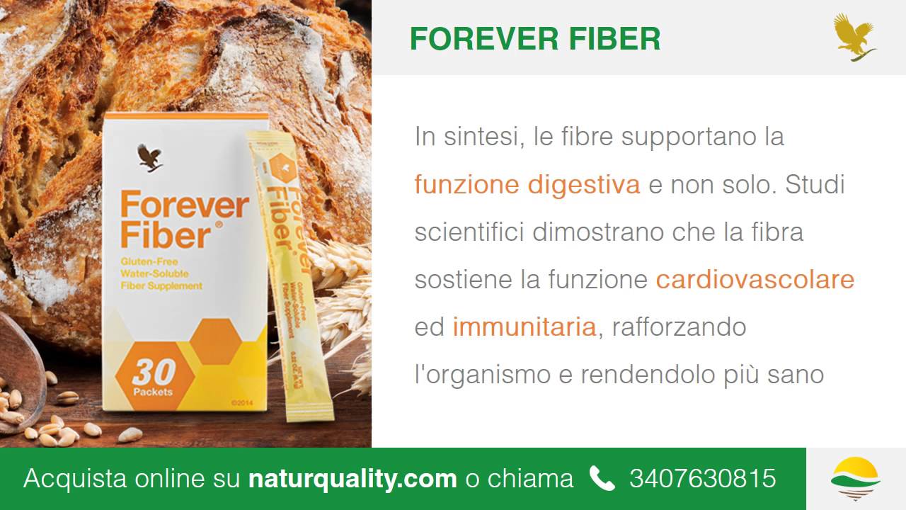 Forever Fiber - Recensione - Italiano - YouTube