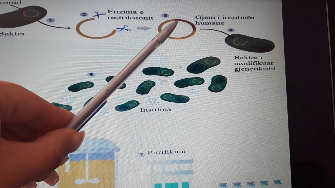 inxhinieria gjenetike - YouTube