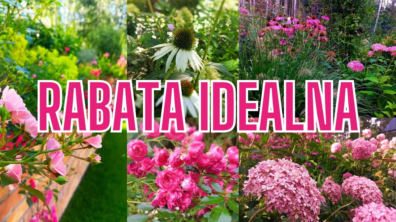 Rabata IDEALNA, ozdobna przez cały rok! Najlepsze połączenia i ...