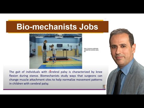 What Do Biomechanists DO? A Beginner's Guide to Biomechanics & the ...