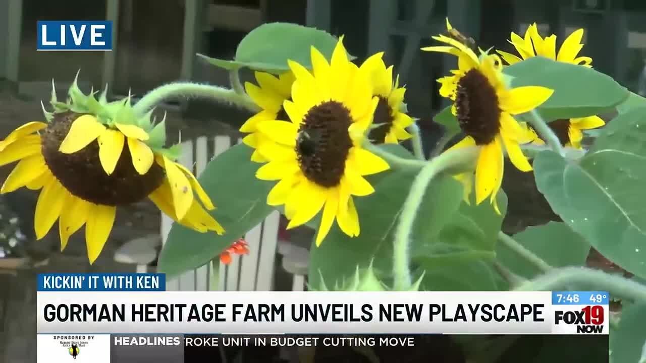 Kickin' it with Ken: Gorman Heritage Farm Unveils New Playscape - YouTube