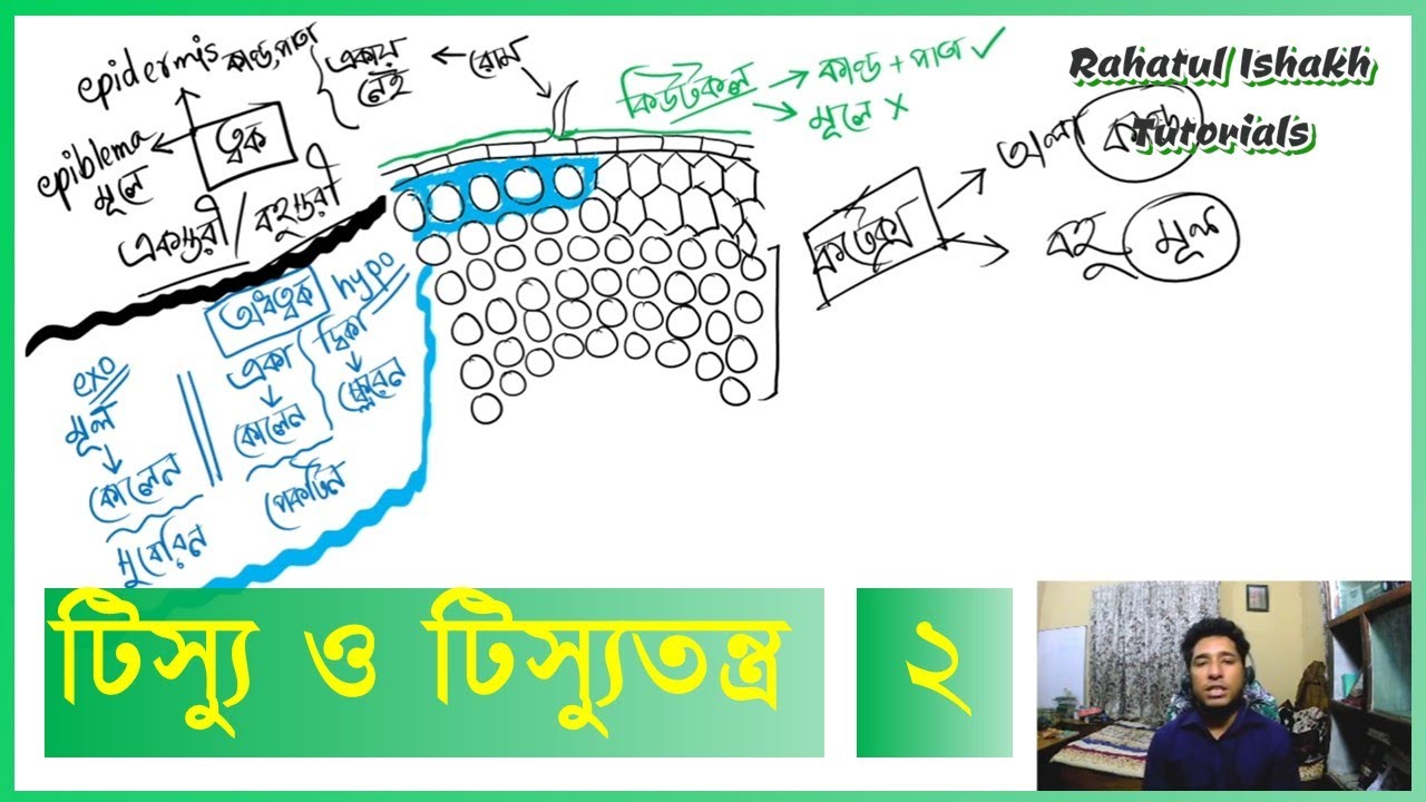 Botany Lecture in Bangla: Understanding Tissues and Tissue Systems in ...