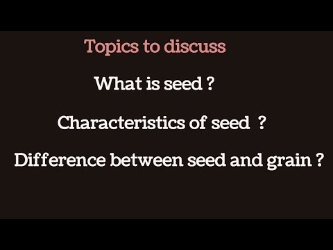Define seed|what is seed?characteristics of seed?seed और grain में ...
