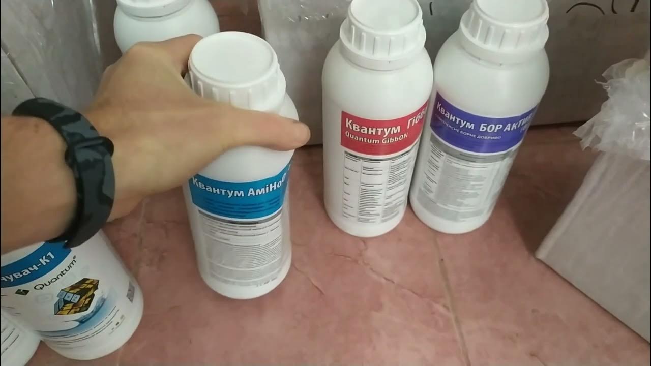 Квантум. Закупка препаратів - YouTube