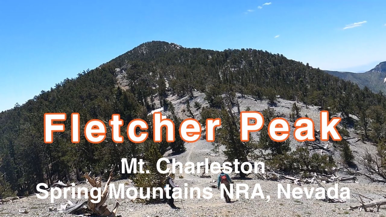 Fletcher Peak, North Loop trail, hike Mt. Charleston, Spring Mountains ...