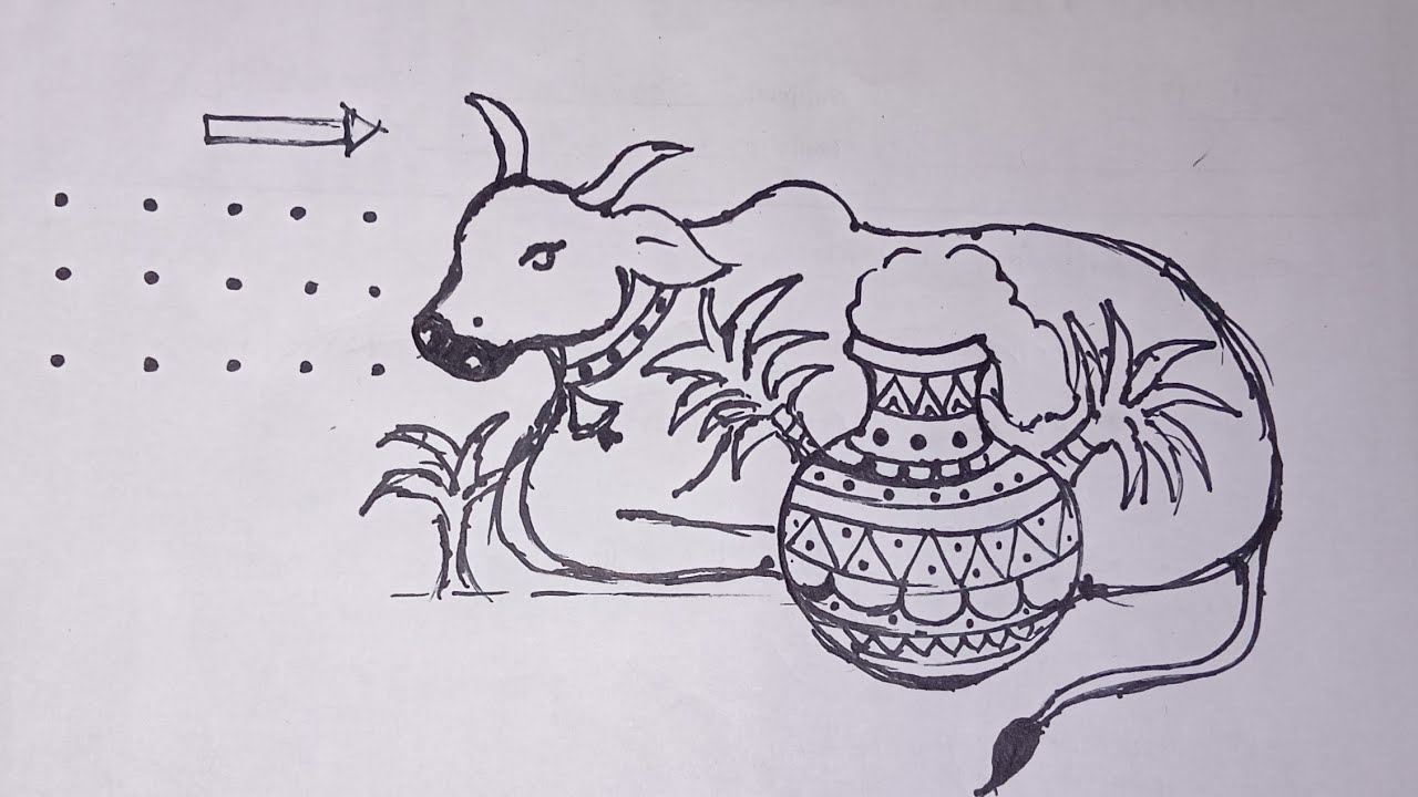 Drawing cow using dots 5×3 dots/mattu pongal/pongal kolam/pot kolam ...