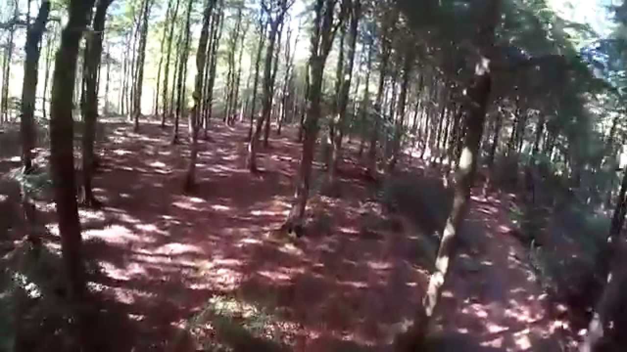 FPV Forest - Empty Spaces - YouTube